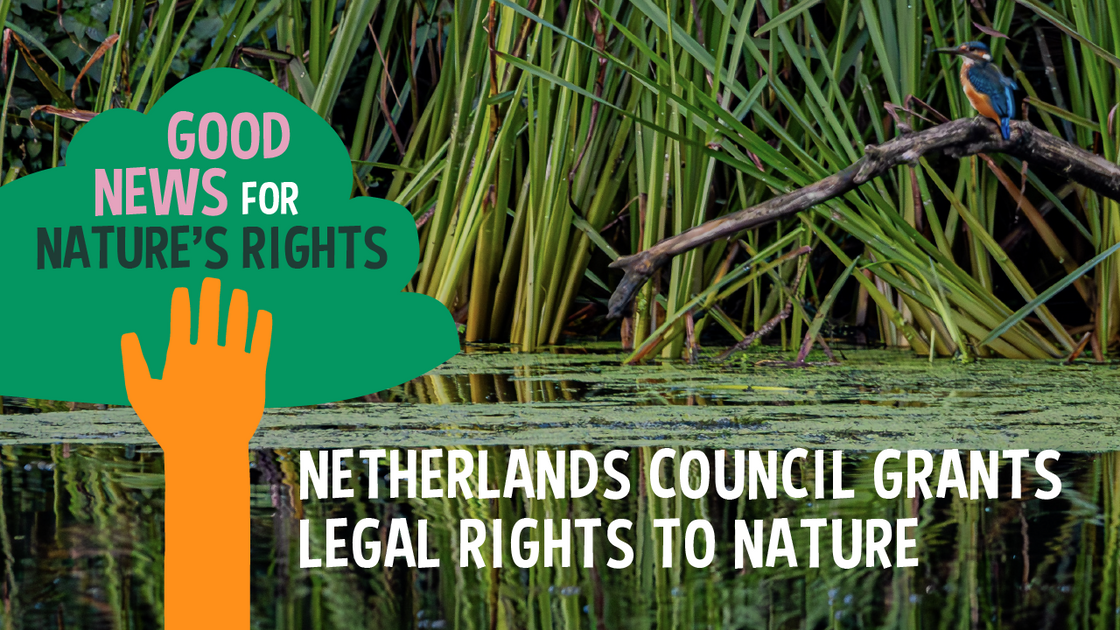 Netherlands Council Grants Legal Rights to Nature | Faith In Nature